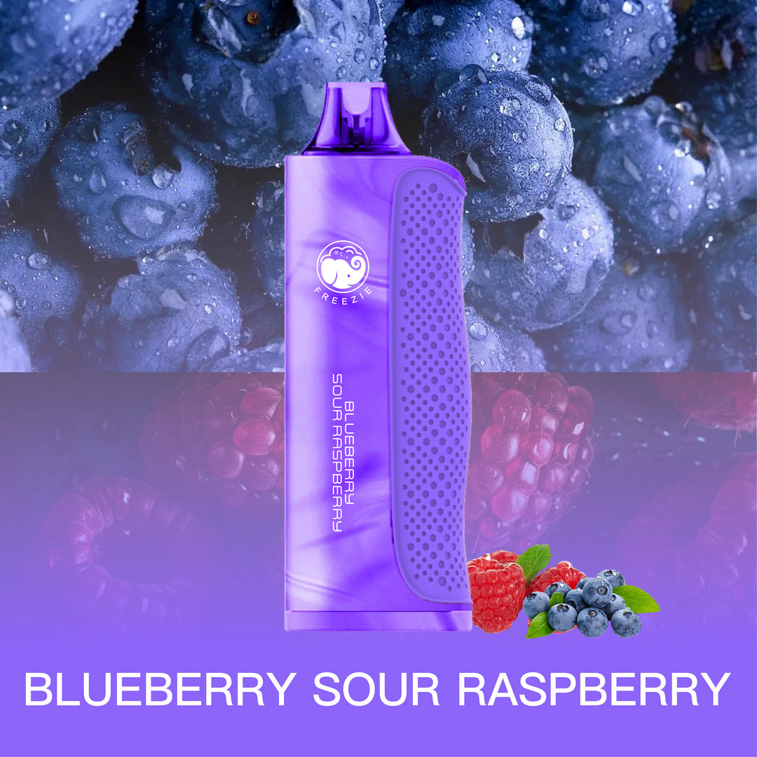 Buy 8000 Puffs Disposable Vape – Blueberry Raspberry Ice Flavor ...